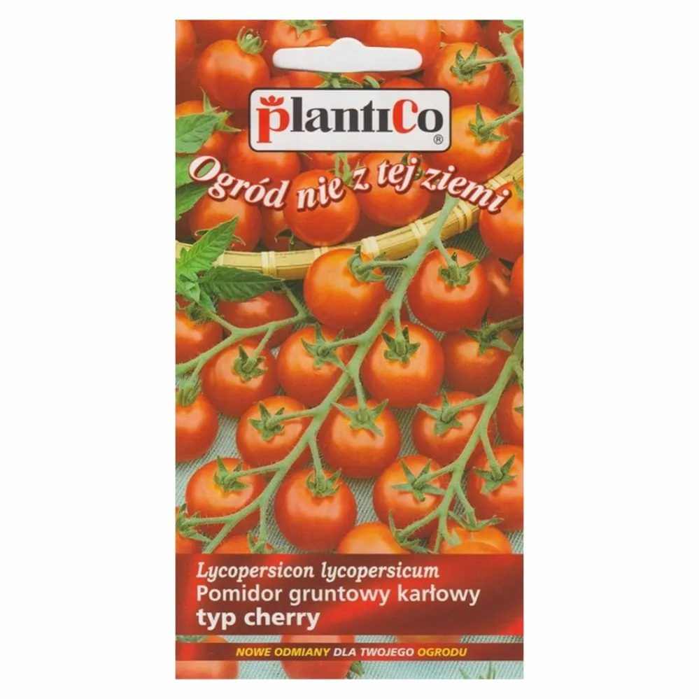 Pomidor Gruntowy Karłowy - Maskotka (Typ Cherry) Nasiona 0,5 g - PlantiCo – MarketBio